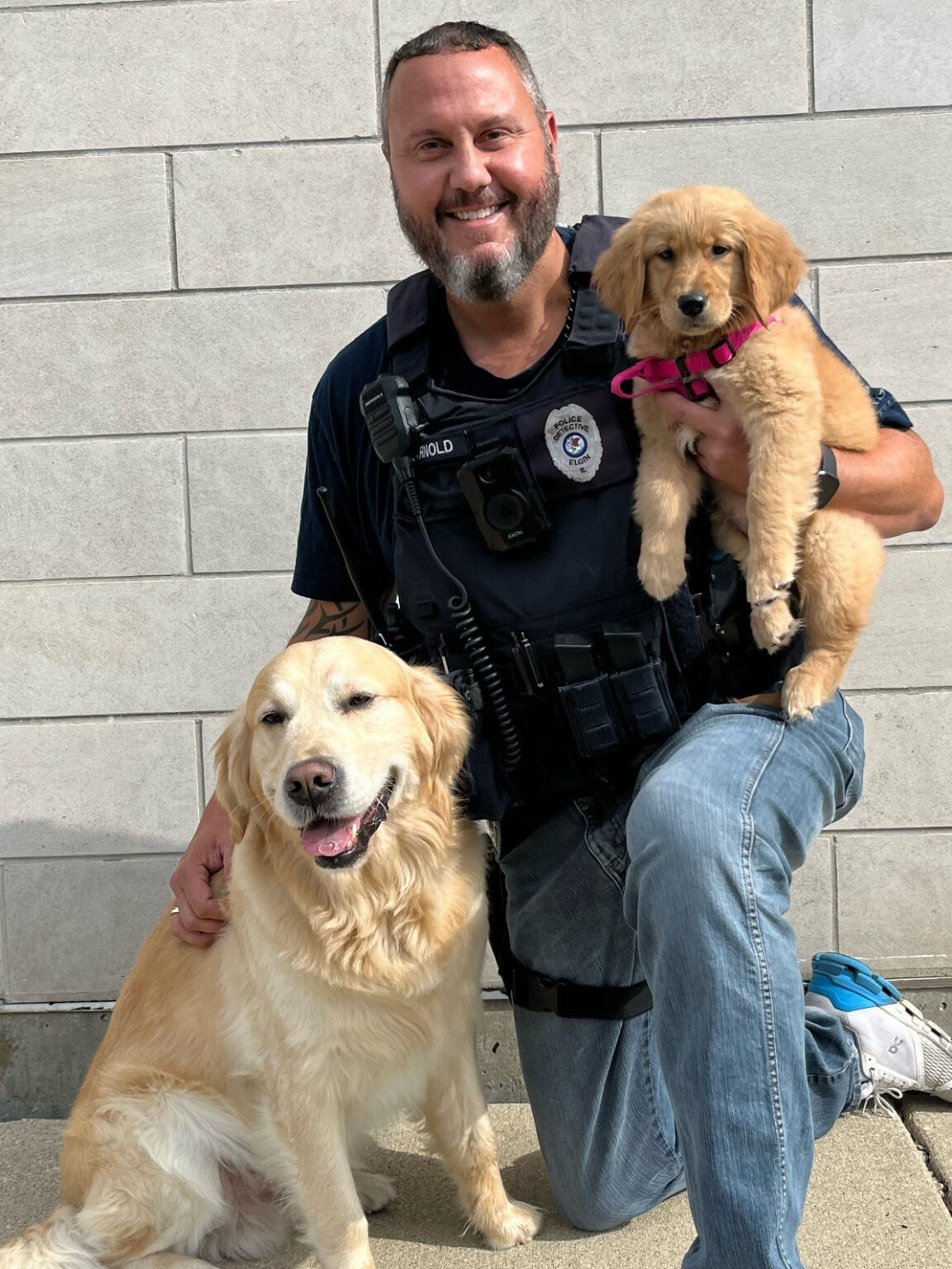 Why Elgin is the Right Choice - Elgin Police DepartmentElgin Police ...